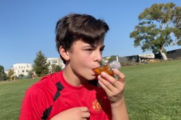 Kaydia Patch Review 2020: Is it scam? | THE GADGETOFFICE