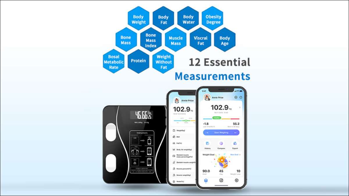 Smart Scales vs. Traditional Scales: Which Is The Best For You?